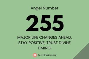 Meaning of Angel Number 686 Explained by Joanne – Sacred Scribes