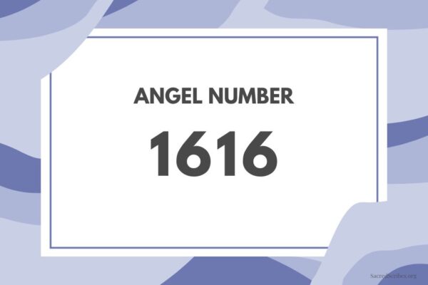 Meaning of Angel Number 1616 Explained by Joanne – Sacred Scribes