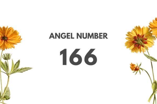 Meaning of Angel Number 166 Explained by Joanne – Sacred Scribes