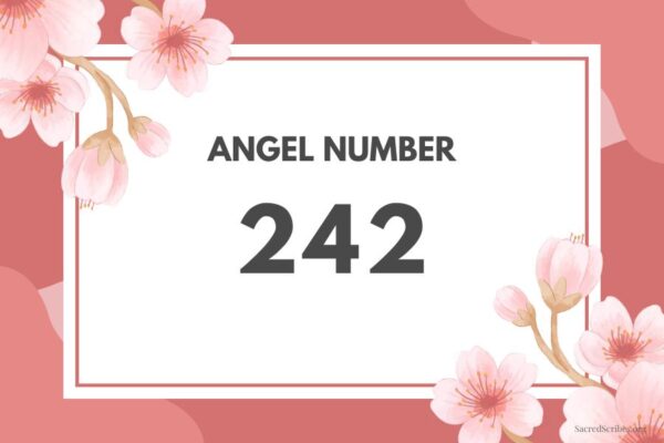 Meaning of Angel Number 242 Explained by Joanne – Sacred Scribes