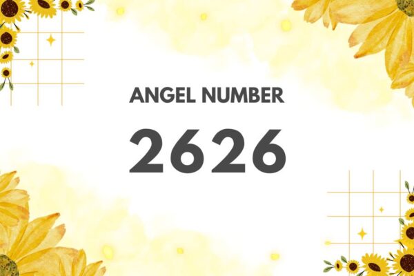 Meaning of Angel Number 2626 Explained by Joanne – Sacred Scribes
