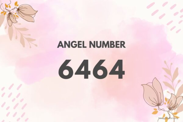 Meaning of Angel Number 6464 Explained by Joanne – Sacred Scribes