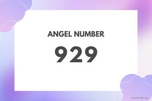 Meaning of Angel Number 929 Explained by Joanne – Sacred Scribes