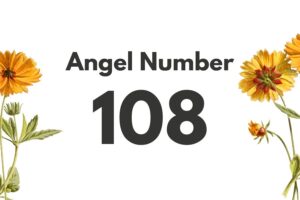 Meaning of Angel Number 108 Explained by Joanne – Sacred Scribes