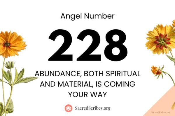 Meaning of Angel Number 223 Explained by Joanne – Sacred Scribes